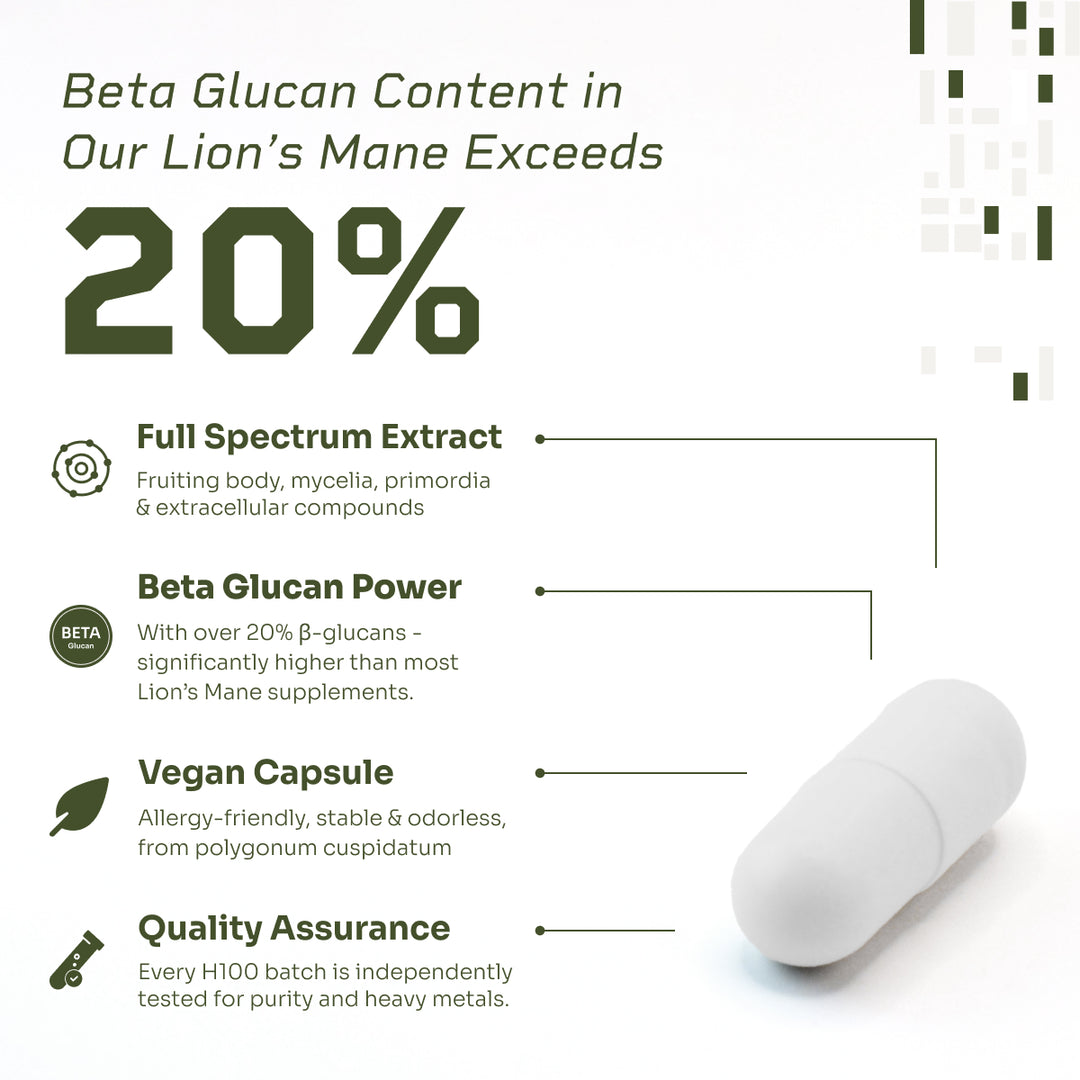 Lion's Mane Capsules – Hello100